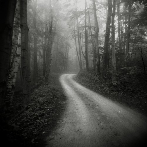 An Introduction to Holga Photography | Envato Tuts+