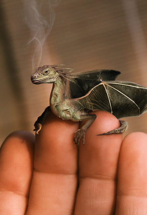 The Remarkable Photo Manipulations of Jan Oliehoek | Envato Tuts+