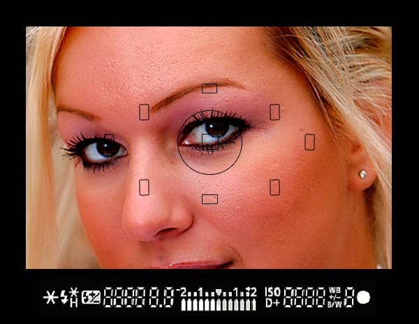 Achieving Better Focus and Sharpness in Your Images | Envato Tuts+