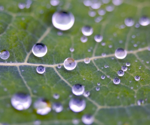 13 Steps for Shooting the Perfect Water Droplet | Envato Tuts+