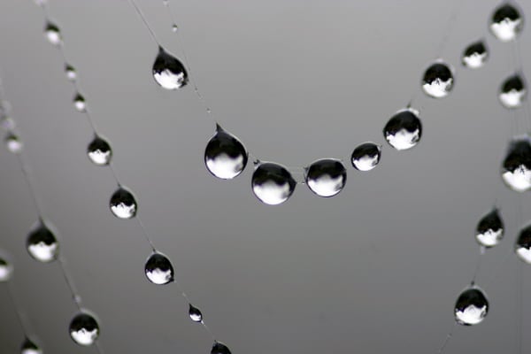 13 Steps for Shooting the Perfect Water Droplet | Envato Tuts+