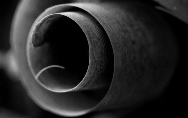 The Complete Beginner’s Guide to Shooting Low Key | Envato Tuts+