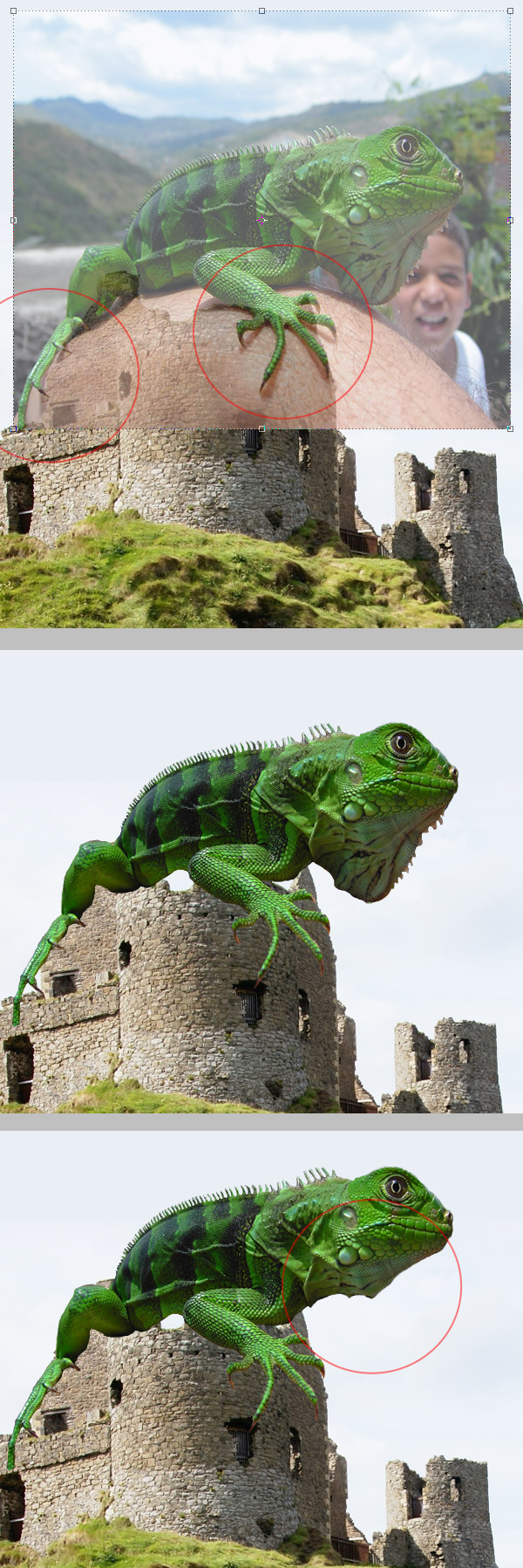 How to Design a Dramatic Winged Dragon with Photoshop | Envato Tuts+