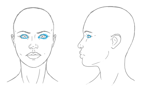 The Differences Between Male and Female Portraits | Envato Tuts+