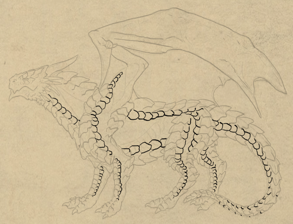 Rawr! How to Draw an Anatomically Correct Dragon