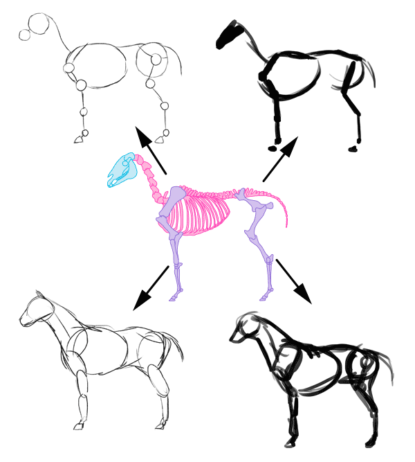 How to Draw Animals: The Importance of Drawing a Pose | Envato Tuts+