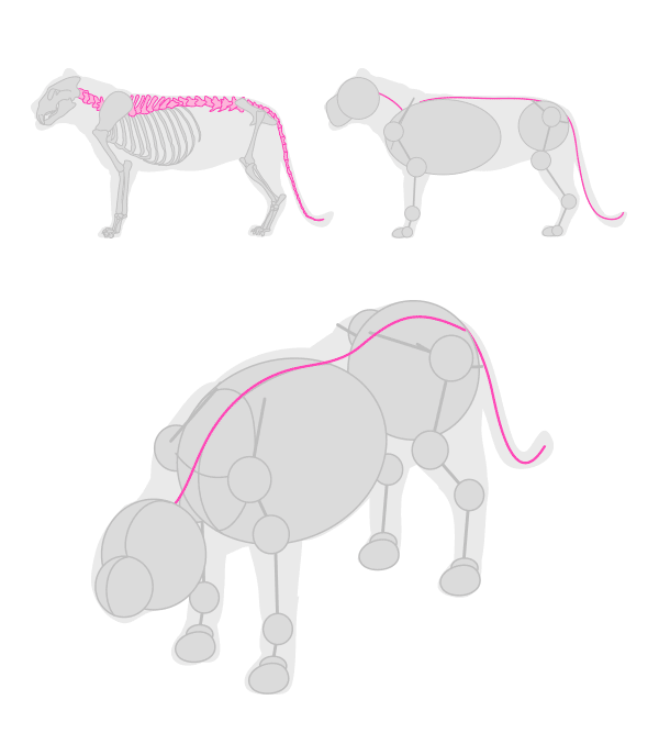 How to Draw Animals: The Importance of Drawing a Pose | Envato Tuts+
