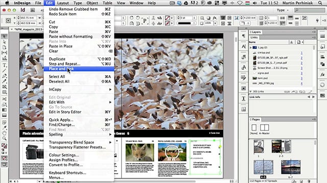 Place and Link Multiple Instances of the Same Content in Adobe InDesign ...