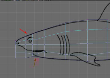Create a Realistic Shark in Maya using Subdivision Surfaces: Part 1 ...