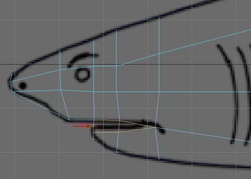 Create a Realistic Shark in Maya using Subdivision Surfaces: Part 1 ...