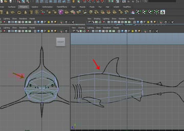 Create a Realistic Shark in Maya using Subdivision Surfaces: Part 1 ...