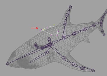 Create a Realistic Shark in Maya using Subdivision Surfaces: Part 3 ...
