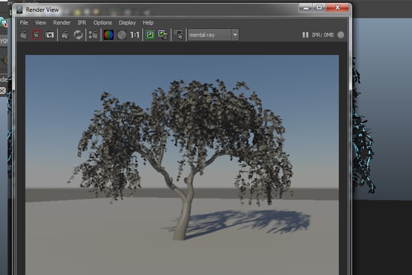 Designing and Animating a Birch Tree in Maya using Paint Effects ...
