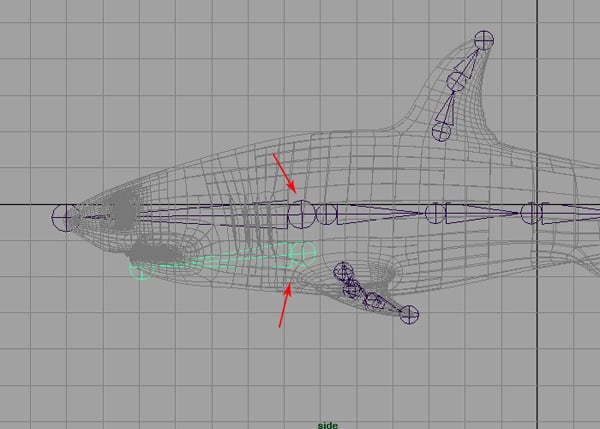 Create a Realistic Shark in Maya using Subdivision Surfaces: Part 3 ...