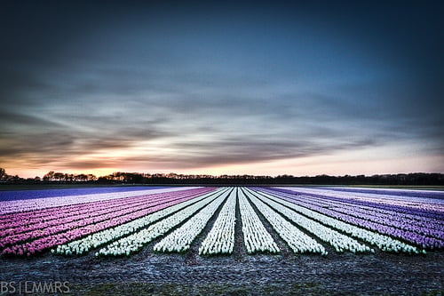 How to Create a Sense of Depth to Your Photos | Envato Tuts+
