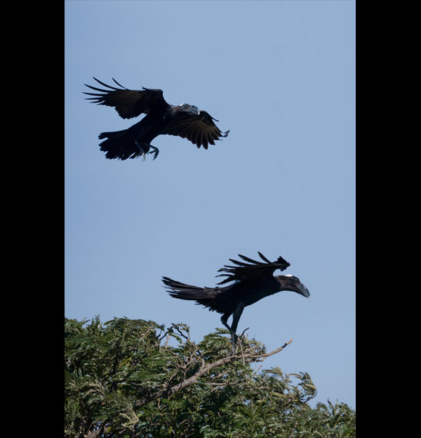 Freezing Time: 80 Inspiring Examples of High Speed Photography | Envato ...