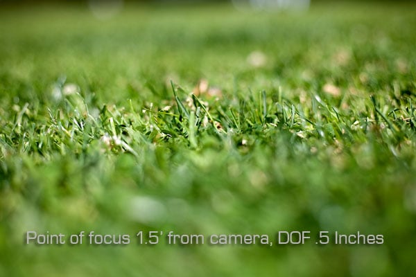 Achieving Better Focus and Sharpness in Your Images | Envato Tuts+
