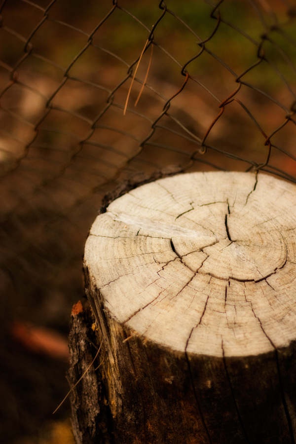 6 Elements of Design for Striking Photographs | Envato Tuts+