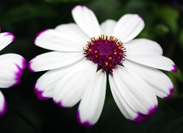 Pulling the Eye: Visual Mass and Composition | Envato Tuts+