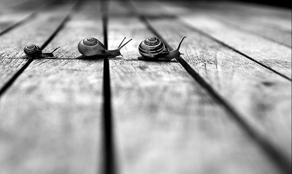 70 Imaginative Examples Of Conceptual Photography | Envato Tuts+