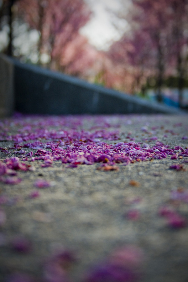 Shooting Osaka, Japan: Photography Examples and Tips | Envato Tuts+