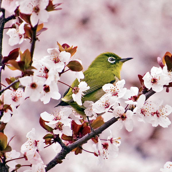Shooting Osaka, Japan: Photography Examples and Tips | Envato Tuts+