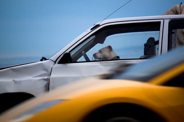 How to Become a Spontaneous Photographer | Envato Tuts+