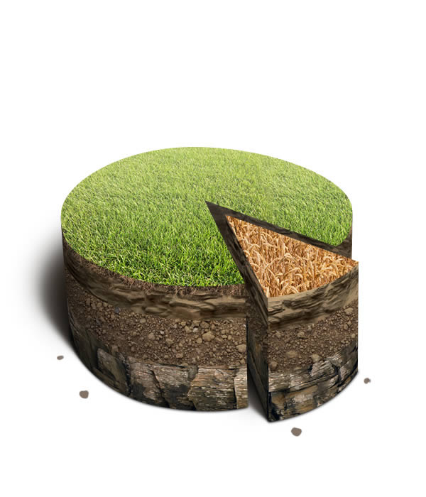 Create a Soil Cake for Pie Charts and Infographics | Envato Tuts+