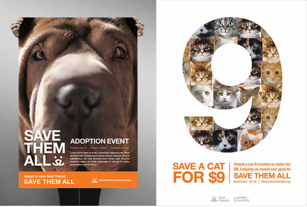 Interview With Designer Hillary Coe | Envato Tuts+