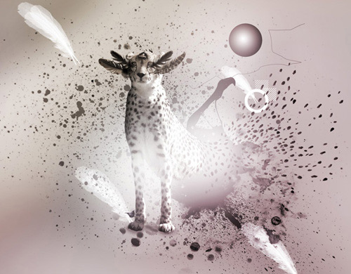 Into the Wild: Awesome Animal Photo-Manipulations | Envato Tuts+