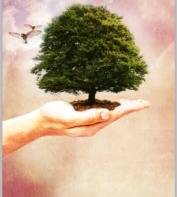 Create a Nature Inspired Photo Manipulation in Photoshop | Envato Tuts+