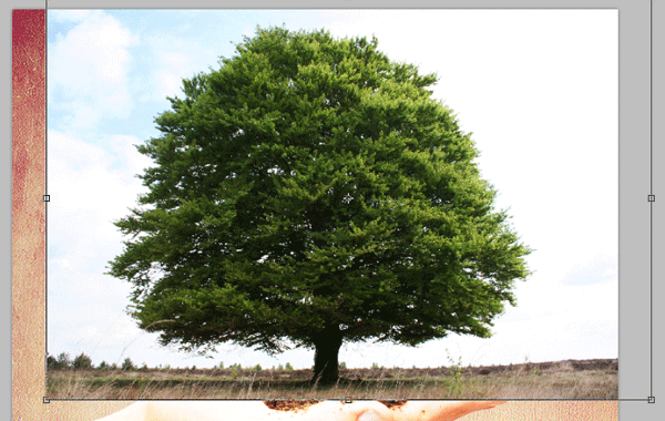 Create a Nature Inspired Photo Manipulation in Photoshop | Envato Tuts+