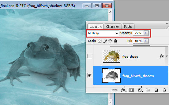 Create a Fictional Arctic Snow Frog in Photoshop | Envato Tuts+
