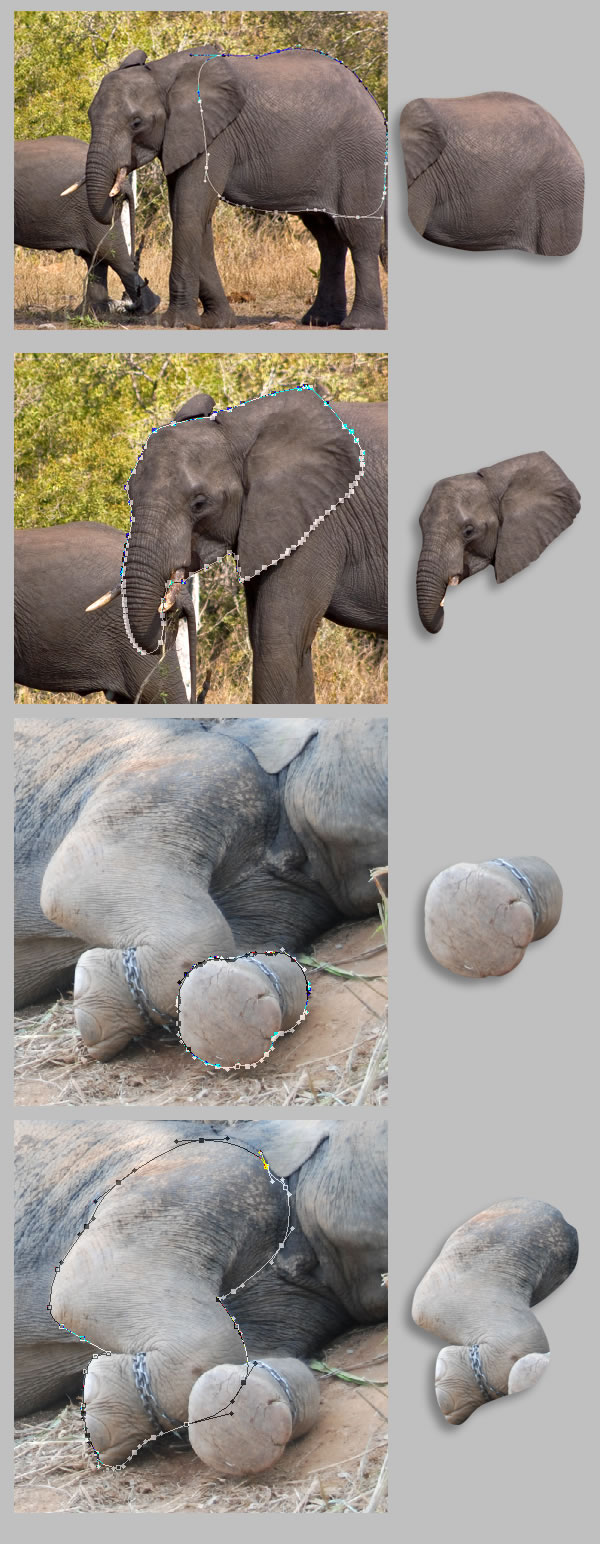 Create an Elephant Sundae Using Photo Manipulation Techniques | Envato ...