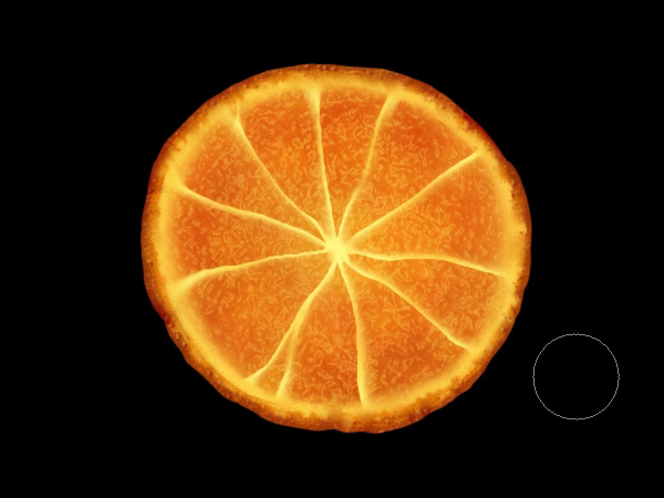 Create a Citrus Fruit Design From Scratch in Photoshop | Envato Tuts+