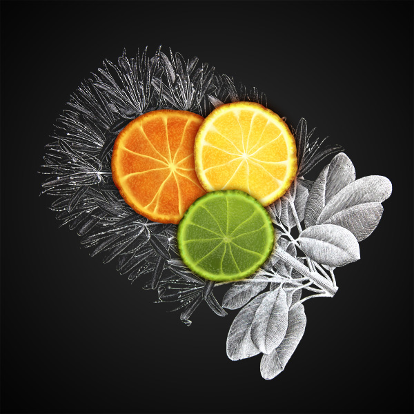 Create a Citrus Fruit Design From Scratch in Photoshop | Envato Tuts+