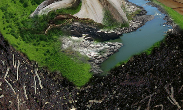 How to Create a Slice of Nature Photo Manipulation | Envato Tuts+