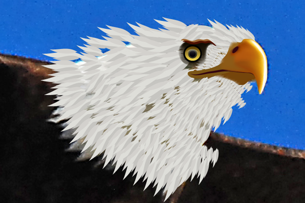 Create a Bald Eagle Illustration for Independence Day in Adobe ...