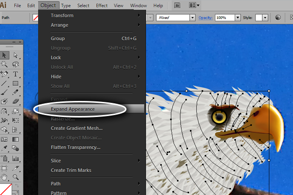 Create a Bald Eagle Illustration for Independence Day in Adobe ...