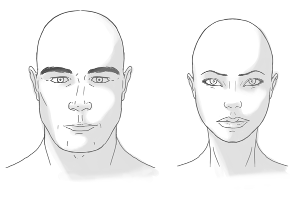 The Differences Between Male and Female Portraits | Envato Tuts+