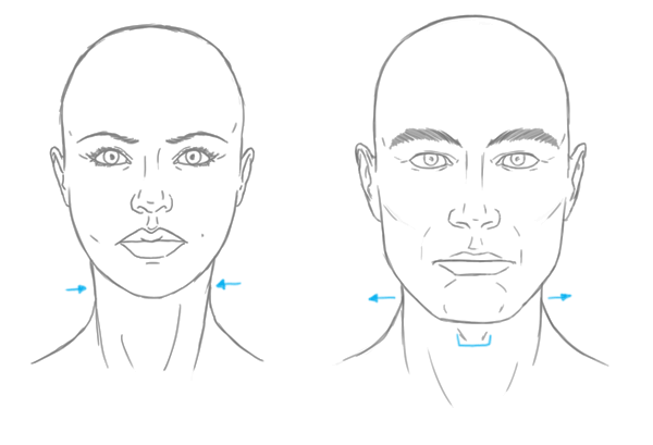 The Differences Between Male and Female Portraits | Envato Tuts+