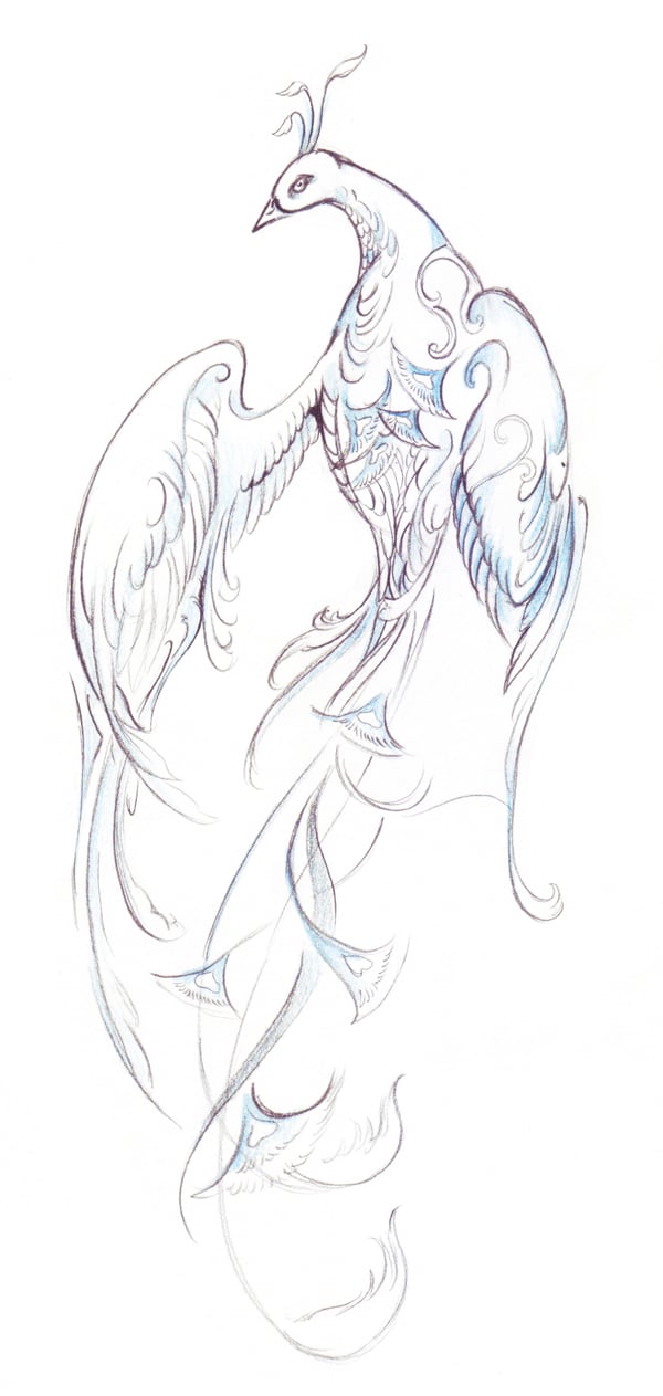 How to Draw an Elegant Fantasy Bird with Colored Pencils | Envato Tuts+