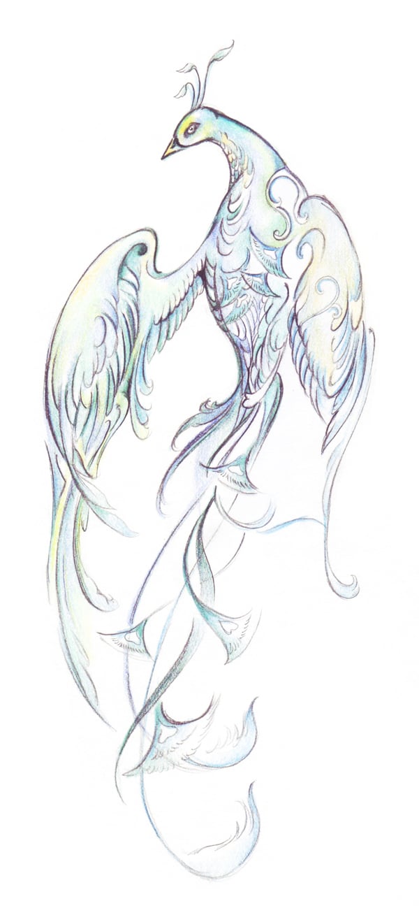 How to Draw an Elegant Fantasy Bird with Colored Pencils | Envato Tuts+