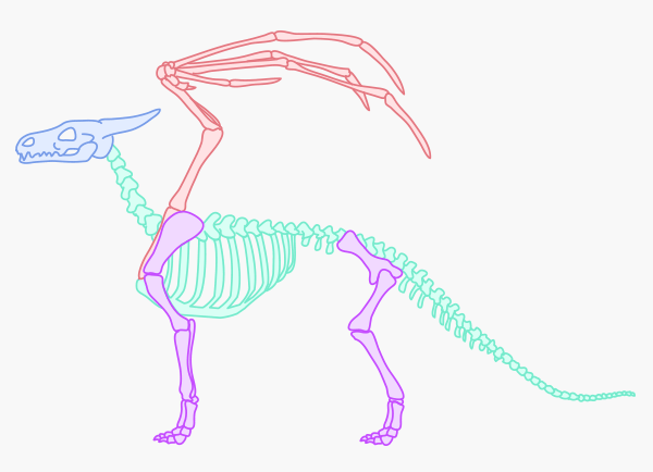 Rawr! How to Draw an Anatomically Correct Dragon | Envato Tuts+