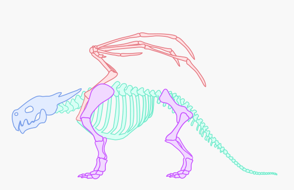 Rawr! How to Draw an Anatomically Correct Dragon | Envato Tuts+