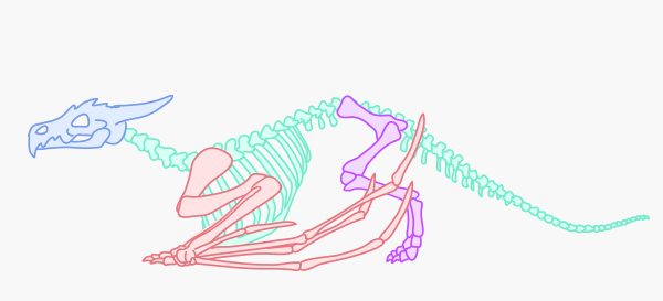 Rawr! How to Draw an Anatomically Correct Dragon | Envato Tuts+