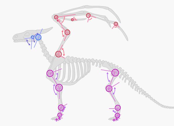 Rawr! How to Draw an Anatomically Correct Dragon | Envato Tuts+