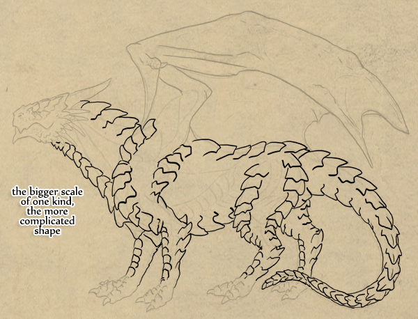 Rawr! How to Draw an Anatomically Correct Dragon | Envato Tuts+