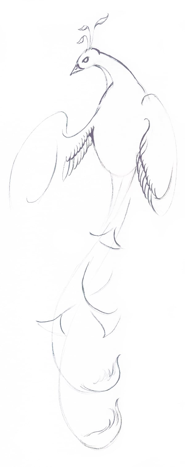 How to Draw an Elegant Fantasy Bird with Colored Pencils | Envato Tuts+