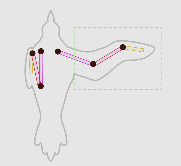 Taking Flight: A Beginner’s Guide Into Drawing Wings | Envato Tuts+